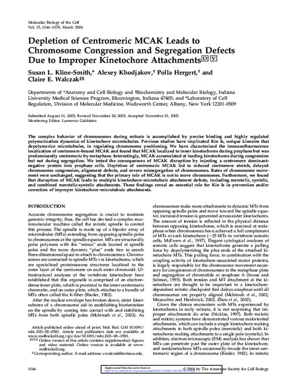 (PDF) Depletion of Centromeric MCAK Leads to Chromosome Congression and ...