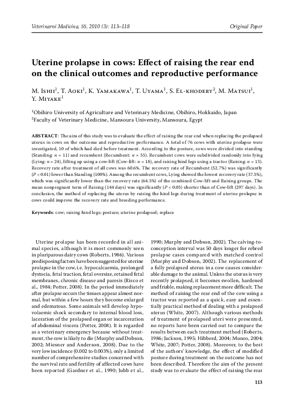 (PDF) Uterine prolapse in cows: Effect of raising the rear end on the ...