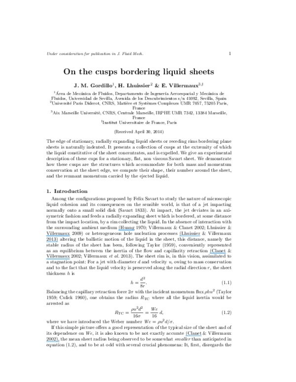 (PDF) Node dynamics and cusps size distribution at the border of liquid ...