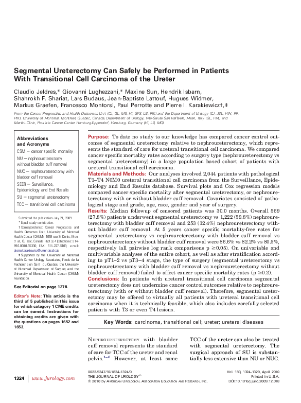 (PDF) Segmental Ureterectomy Can Safely be Performed in Patients With ...