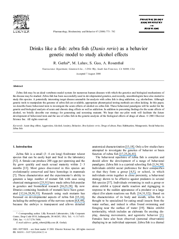 (PDF) Drinks like a fish: zebra fish (Danio rerio) as a behavior ...