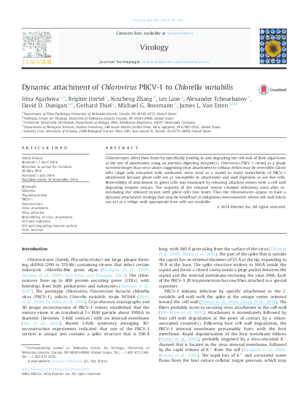 (PDF) Dynamic attachment of Chlorovirus PBCV-1 to Chlorella variabilis