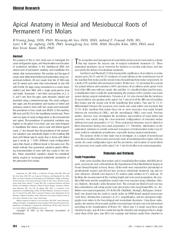 (PDF) Apical Anatomy in Mesial and Mesiobuccal Roots of Permanent First ...