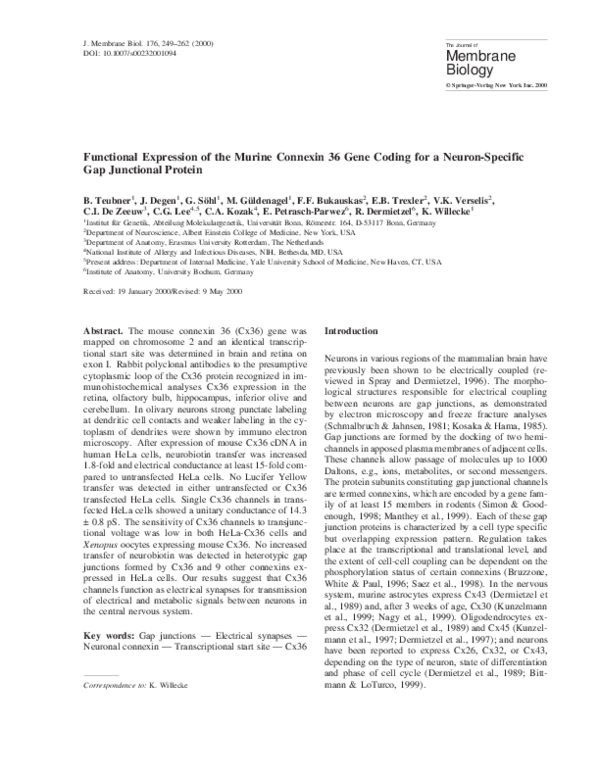 (PDF) Functional Expression of the Murine Connexin 36 Gene Coding for a ...
