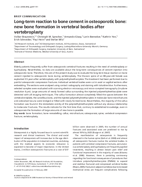 (PDF) Long-term reaction to bone cement in osteoporotic bone: new bone ...