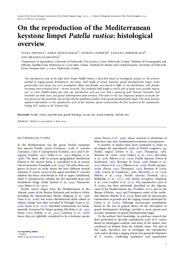 (PDF) On the reproduction of the Mediterranean keystone limpet Patella ...