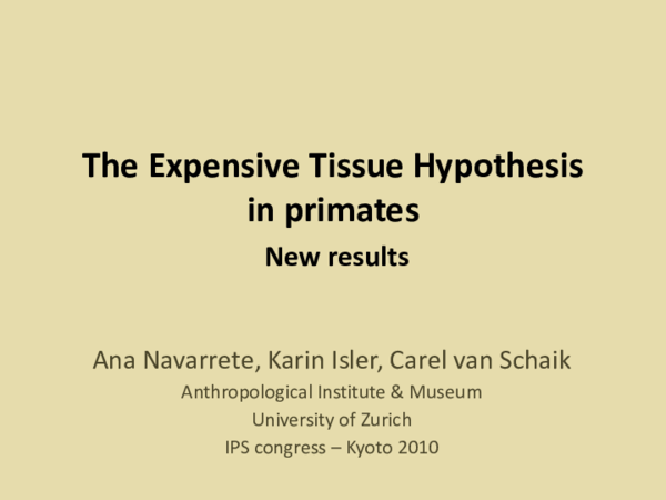 (PDF) The Expensive Tissue Hypothesis in primates - New results