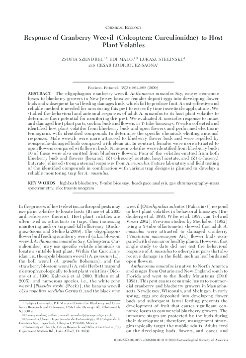 (PDF) Response of Cranberry Weevil (Coleoptera: Curculionidae) to Host ...
