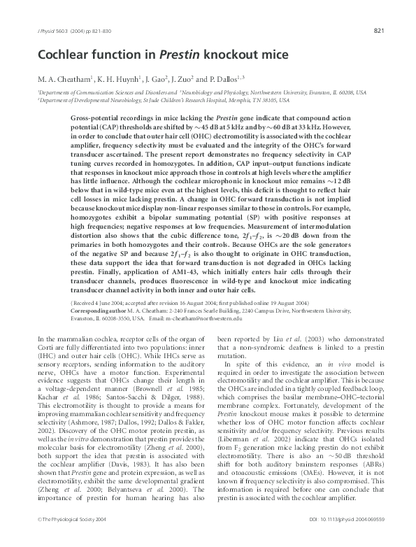(PDF) Cochlear function in Prestin knockout mice