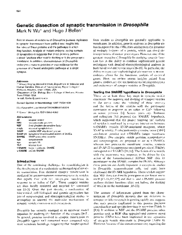 (PDF) Genetic dissection of synaptic transmission in Drosophila (PDF) Genetic dissection of synaptic transmission in Drosophila