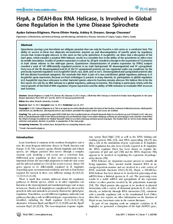 (PDF) HrpA, a DEAH-Box RNA Helicase, Is Involved in Global Gene ...