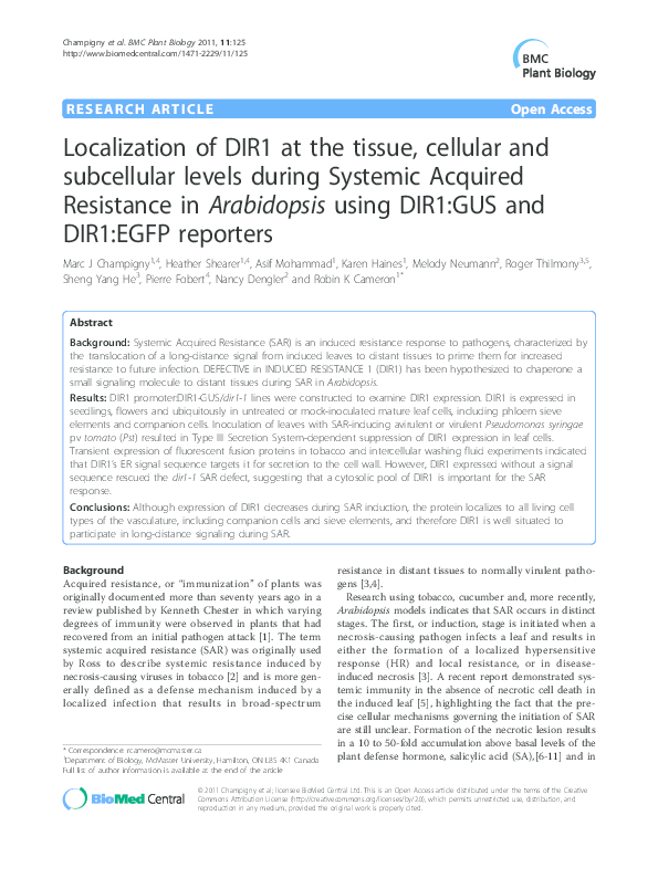 (PDF) Localization of DIR1 at the tissue, cellular and subcellular ...