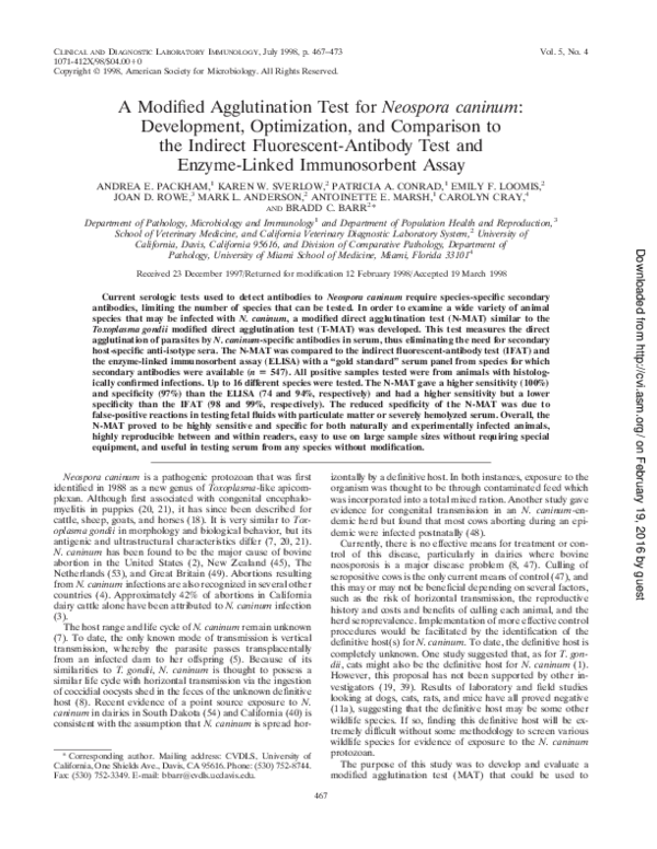 (PDF) A modified agglutination test for Neospora caninum: development ...
