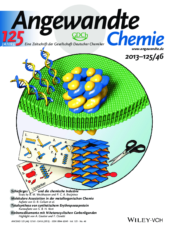 (PDF) Titelbild: Lipid-Bilayer-Spanning DNA Nanopores with a Bifunctional Porphyrin Anchor ...