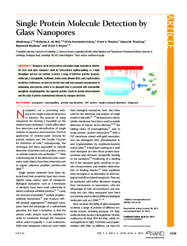 (PDF) Single Protein Molecule Detection by Glass Nanopores