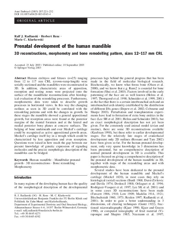 (PDF) Prenatal development of the human mandible