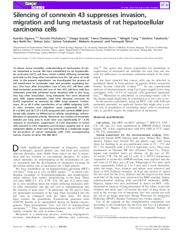 (PDF) Silencing of connexin 43 suppresses invasion, migration and lung ...