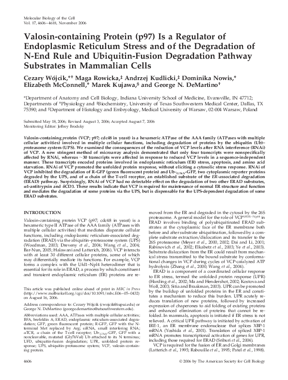 Valosin-containing Protein (p97) Is a Regulator of Endoplasmic ...