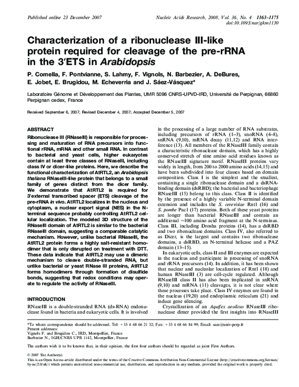 (PDF) Characterization of a ribonuclease III-like protein required for ...