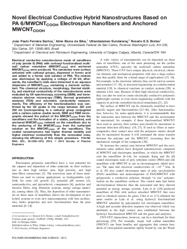 (PDF) Novel electrical conductive hybrid nanostructures based on PA 6/MWCNT COOH electrospun ...