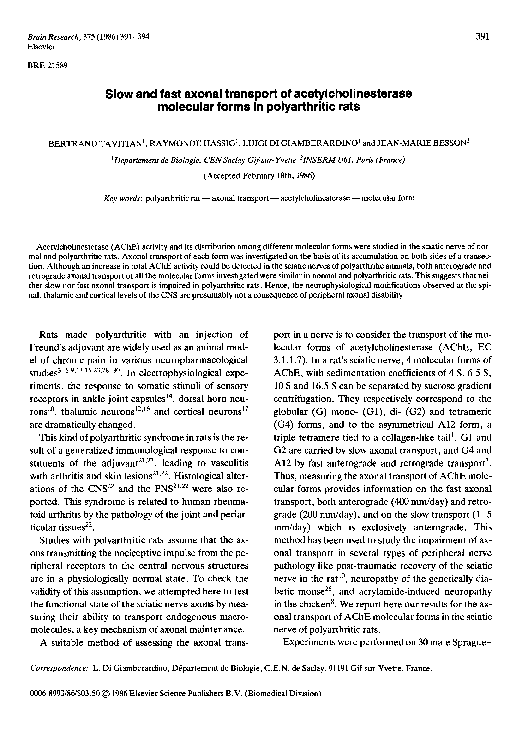 (PDF) Slow and fast axonal transport of acetylcholinesterase molecular ...