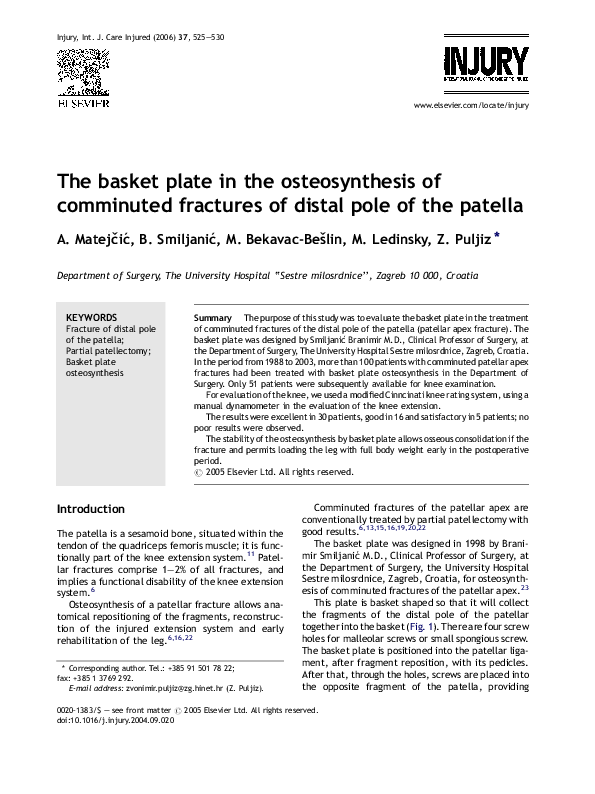 (PDF) The basket plate in the osteosynthesis of comminuted fractures of ...