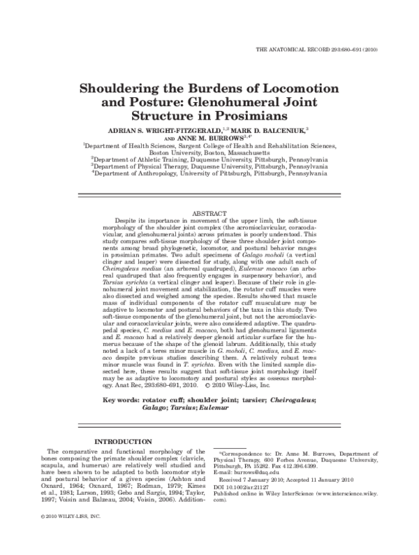 (PDF) Shouldering the Burdens of Locomotion and Posture: Glenohumeral ...