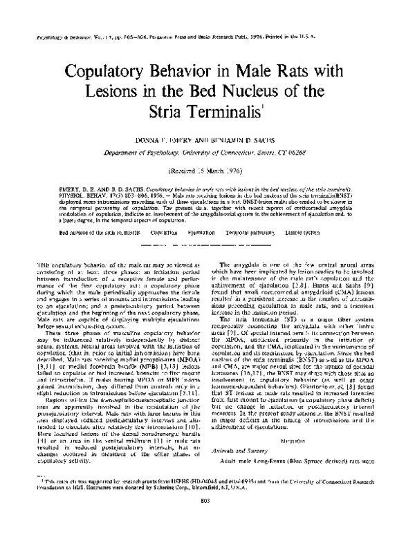 (PDF) Male Rats' Copulatory Behavior with Lesions