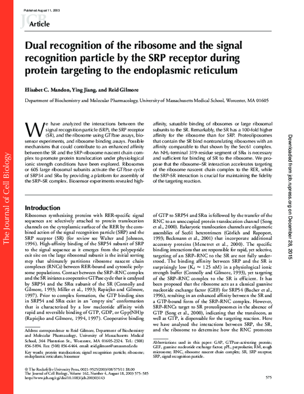 (PDF) Dual recognition of the ribosome and the signal recognition particle by the SRP receptor ...