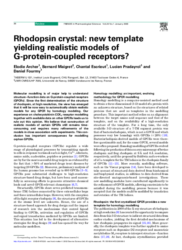 (PDF) Rhodopsin crystal: new template yielding realistic models of G ...