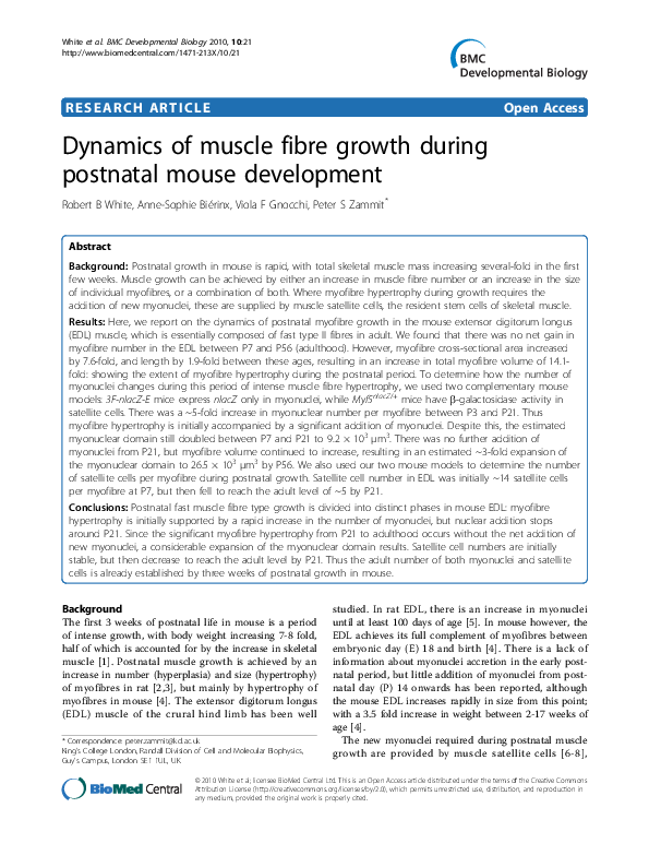 (PDF) Dynamics of muscle fibre growth during postnatal mouse development