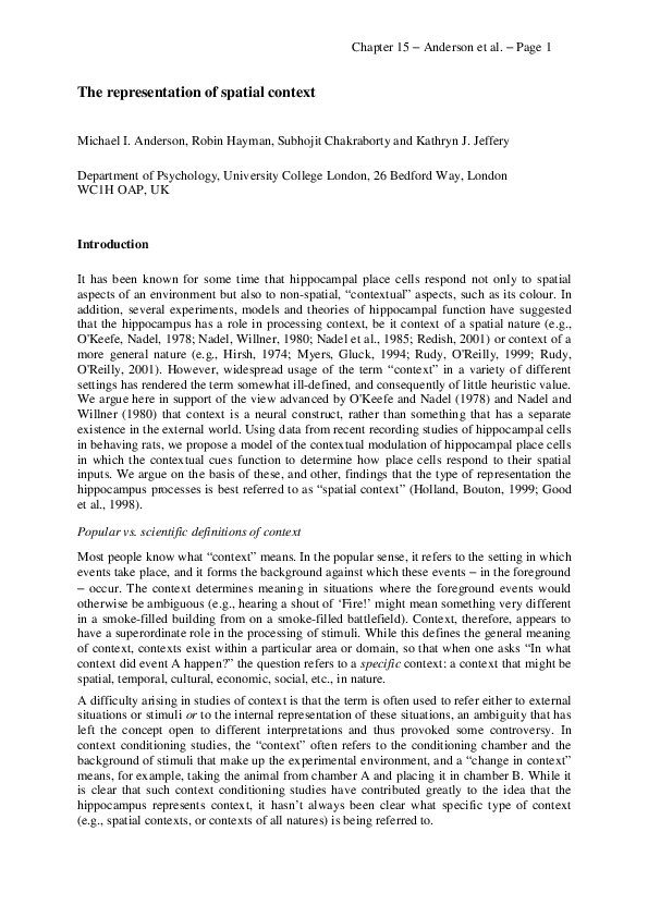 (PDF) The representation of spatial context