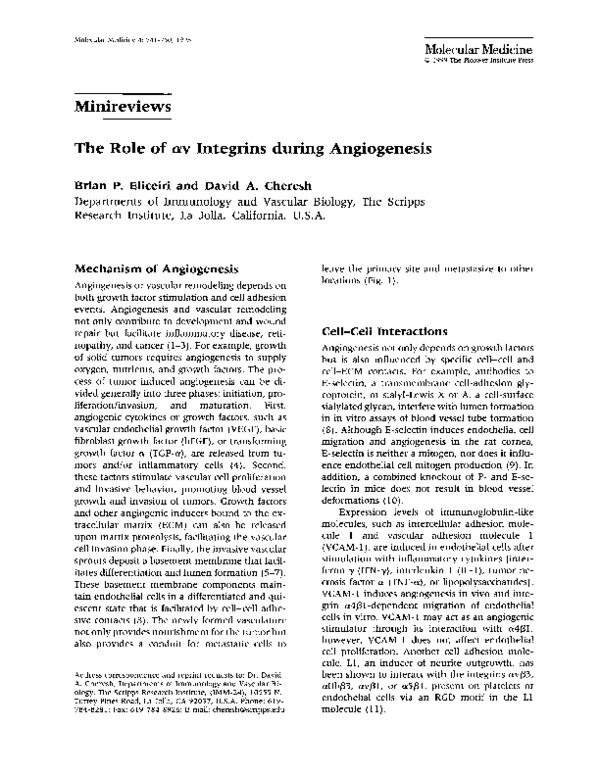 (PDF) The Role of av Integrins during Angiogenesis