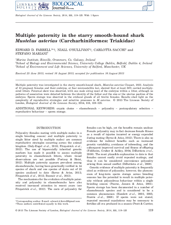 (PDF) Multiple paternity in the starry smooth-hound shark Mustelus ...