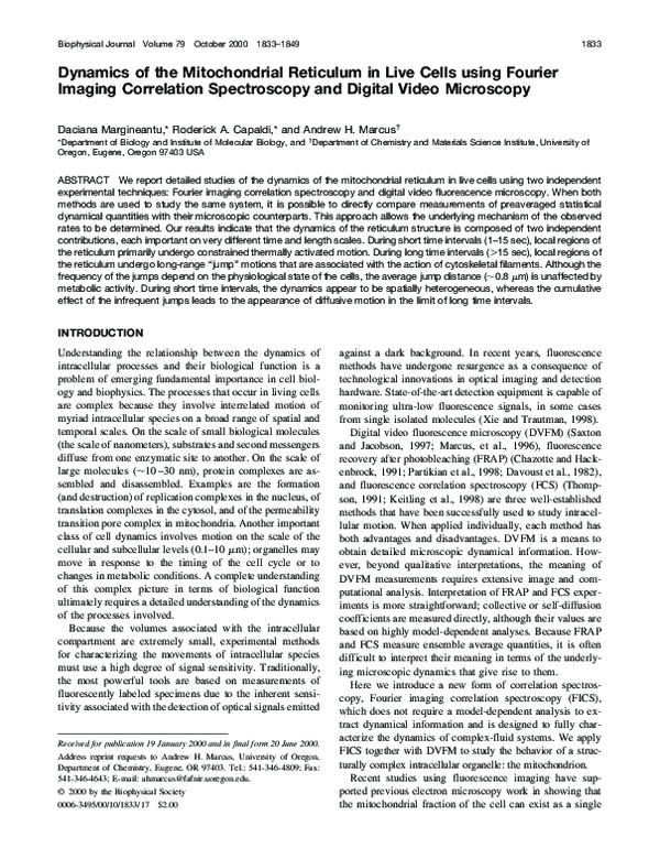 Pdf Dynamics Of The Mitochondrial Reticulum In Live Cells Using