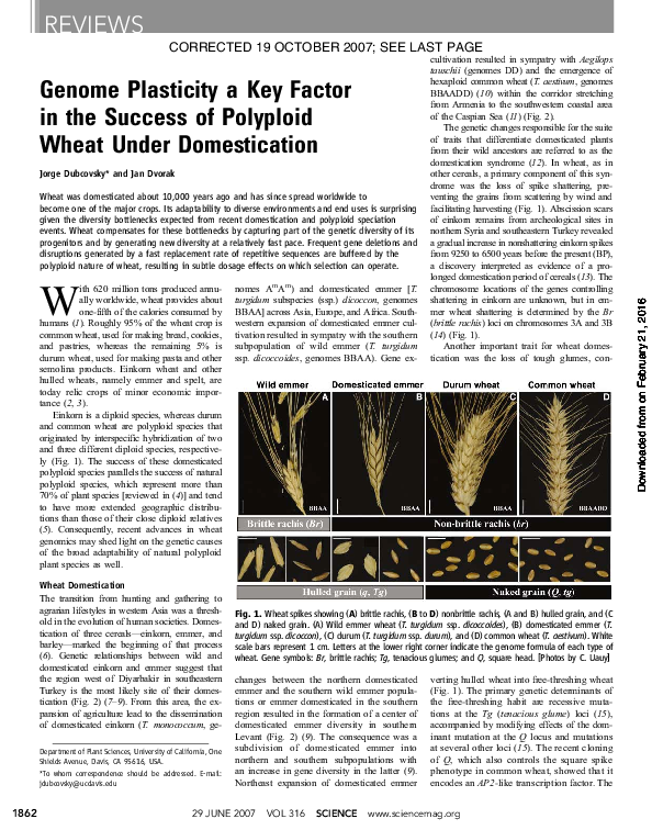 (PDF) Genome Plasticity a Key Factor in the Success of Polyploid Wheat ...