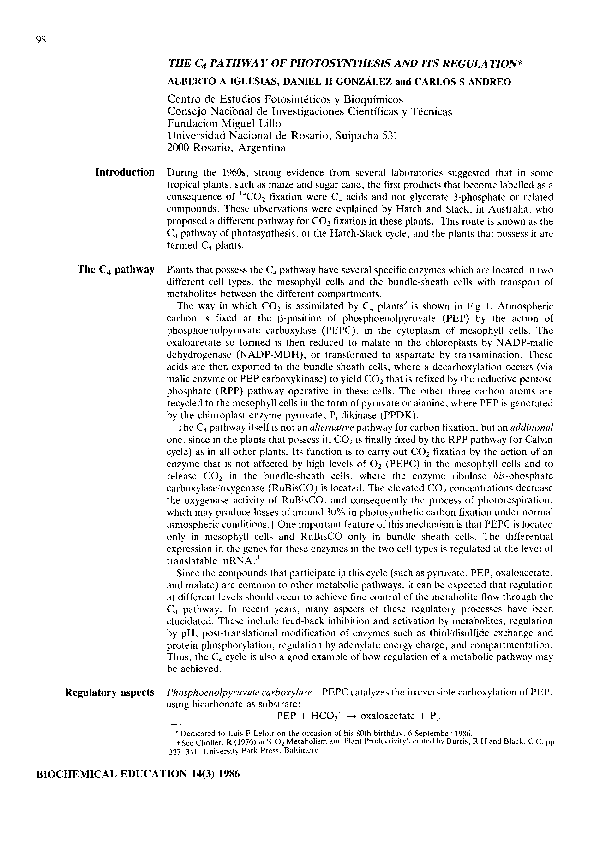 (PDF) The C4 pathway of photosynthesis and its regulation