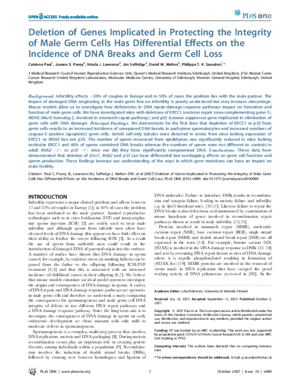 Pdf Deletion Of Genes Implicated In Protecting The Integrity Of Male Germ Cells Has 2965