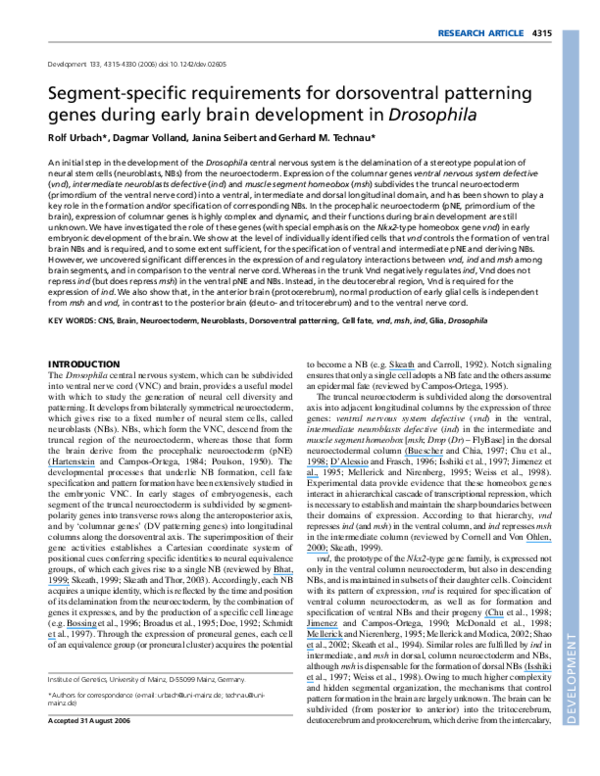 (PDF) Segment-specific requirements for dorsoventral patterning genes during early brain ...