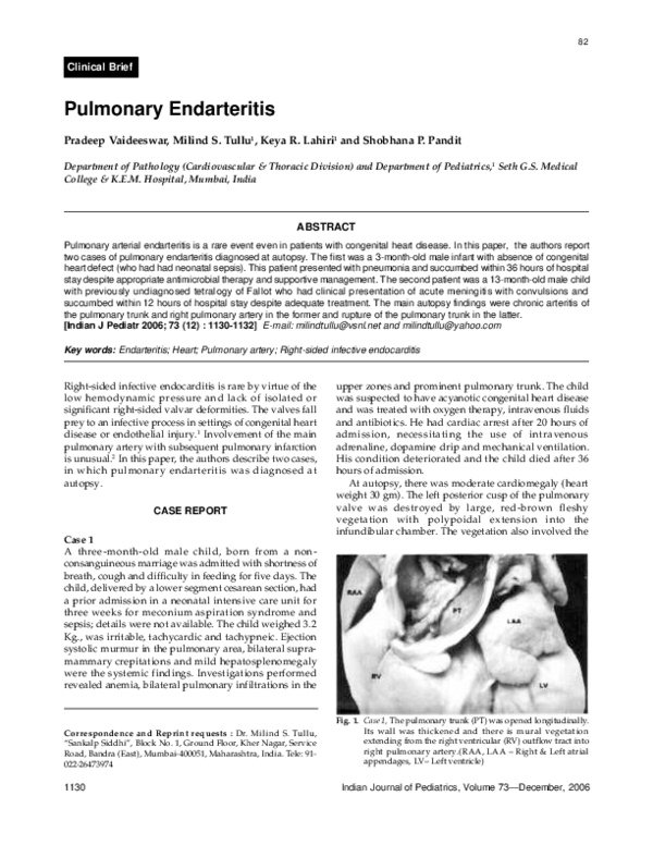 (PDF) Pulmonary endarteritis