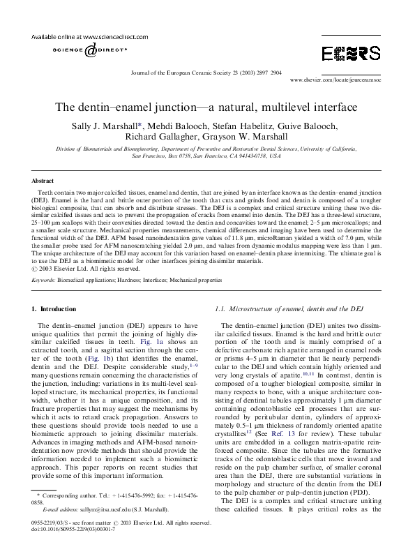 (PDF) The dentin–enamel junction—a natural, multilevel interface