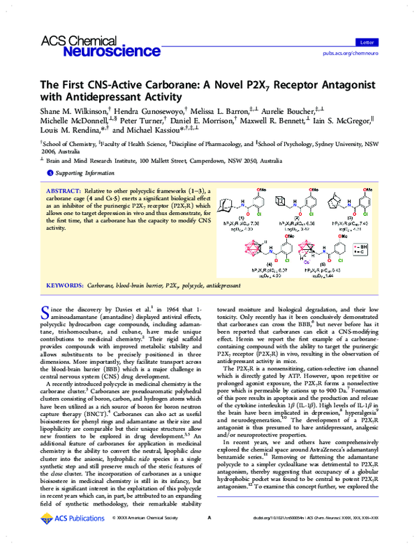 (PDF) The First CNS-Active Carborane: A Novel P2X 7 Receptor Antagonist ...