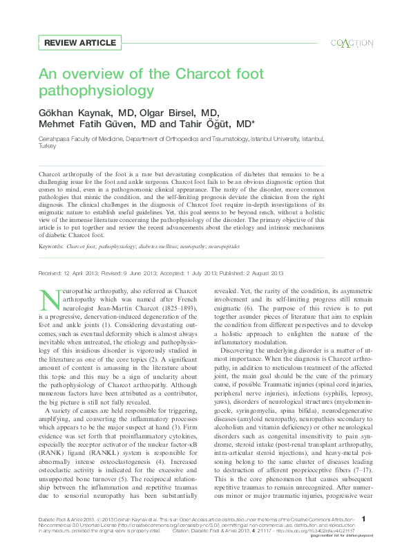 (PDF) An overview of the Charcot foot pathophysiology