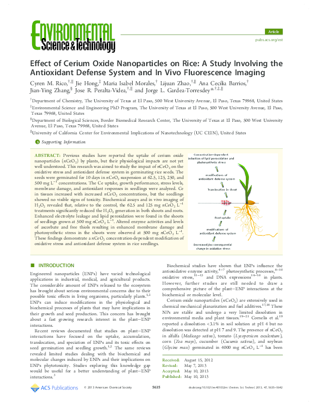 Effect of Cerium Oxide Nanoparticles on Rice: A Study Involving the ...