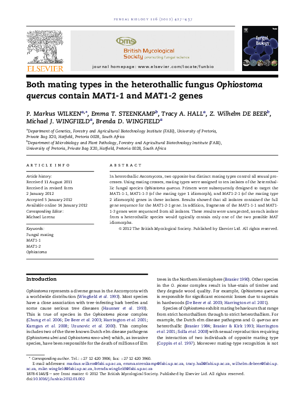 (PDF) Both mating types in the heterothallic fungus Ophiostoma quercus ...