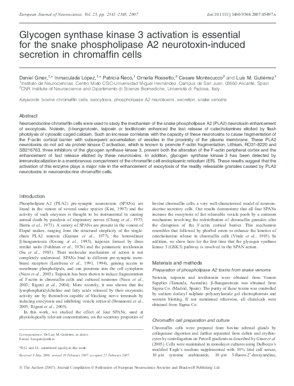 (PDF) Glycogen synthase kinase 3 activation is essential for the snake ...