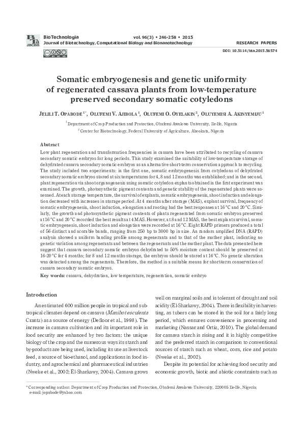 Somatic embryogenesis and genetic uniformity of regenerated cassava ...