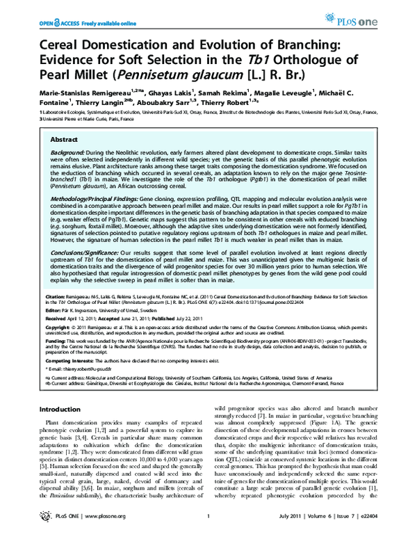 (PDF) Cereal Domestication and Evolution of Branching: Evidence for ...