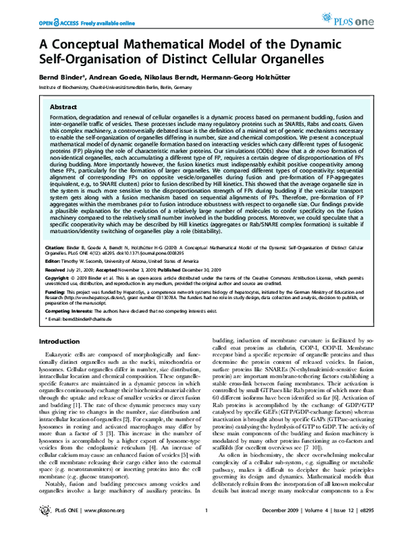 (PDF) A Conceptual Mathematical Model of the Dynamic Self-Organisation ...