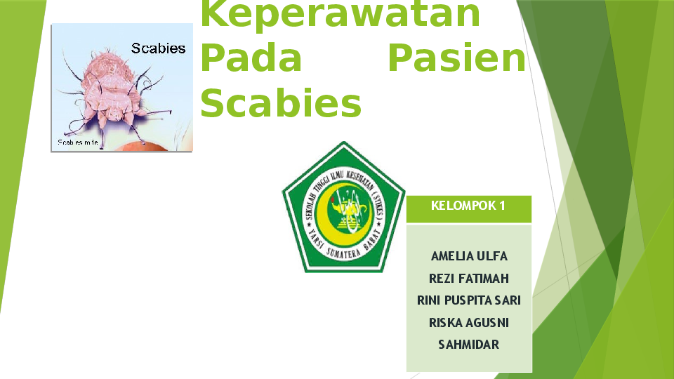 (PPT) ASUHAN KEPERAWATAN PADA PASIEN DENGAN SCABIES